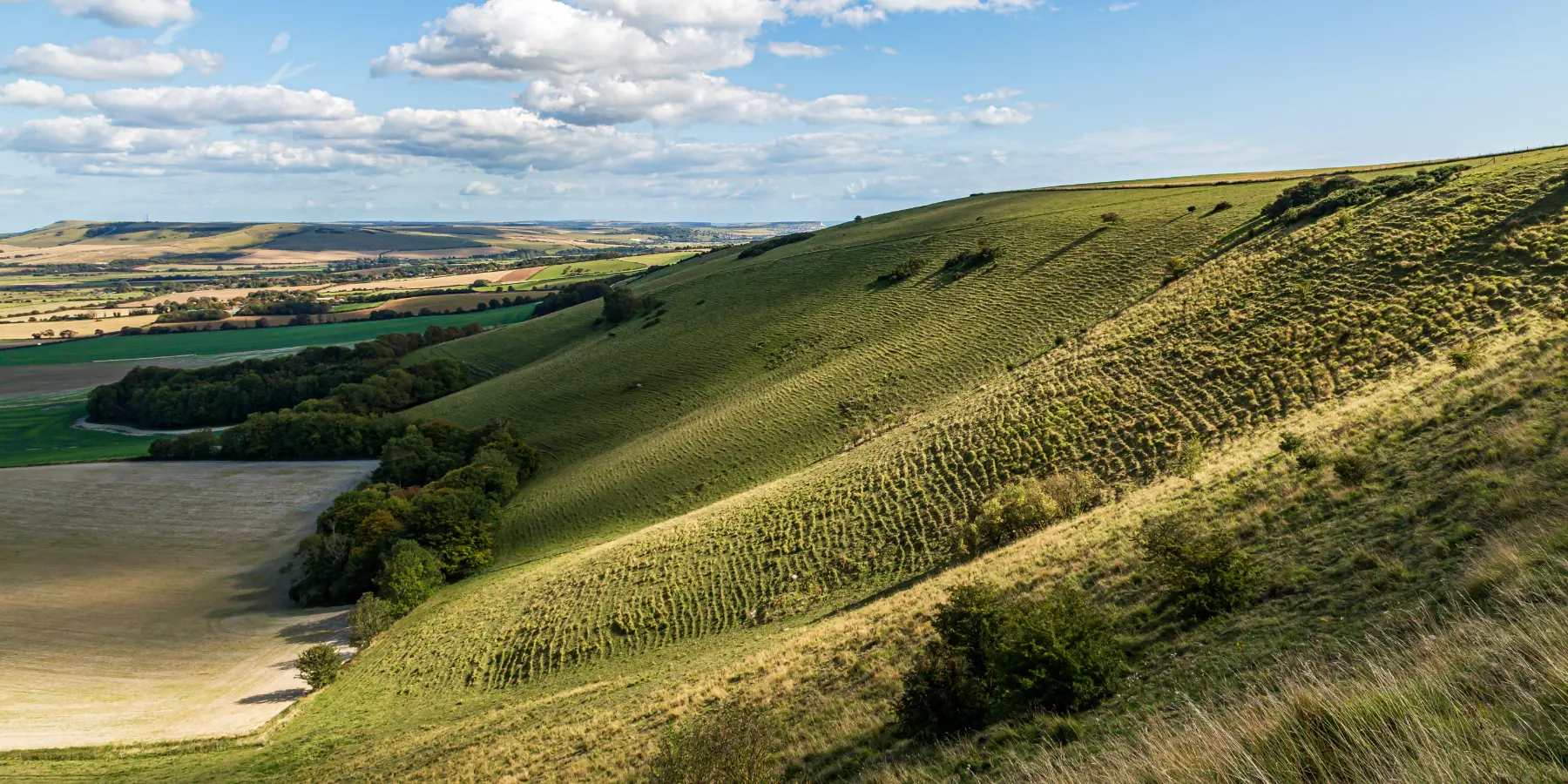 Conquering the Scarp - The Living Coast by Bike